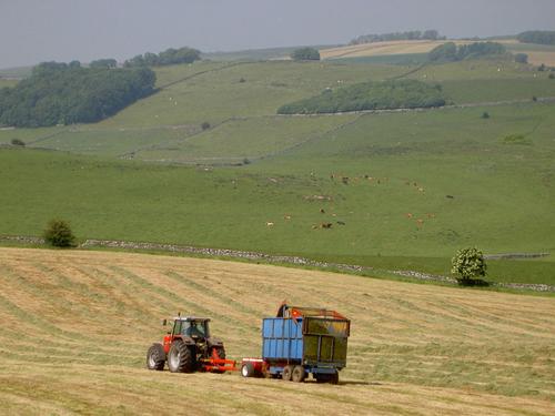 New ICMA Publication on Rural Smart Growth | icma.org